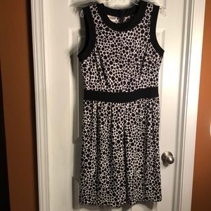 Talbots | Dresses | Talbots Black And White Dress | Poshmark